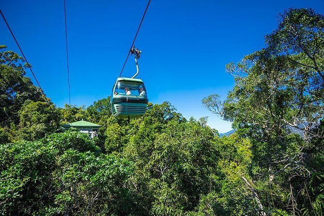 Skyrail Rainforest Cableway Day Trip from Cairns - An Introduction to the Cairns Skyrail and Scenic Railway Experience