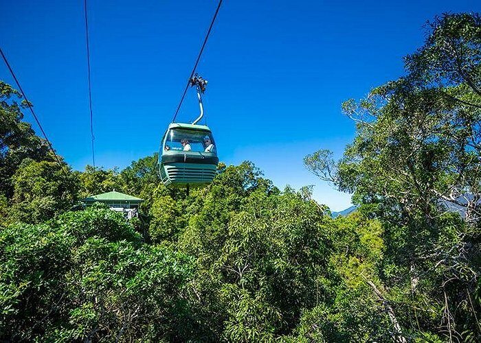 Skyrail Rainforest Cableway Day Trip from Cairns - Who Is This Tour Best For?