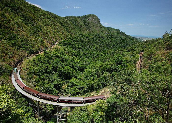 Skyrail Rainforest Cableway Day Trip from Palm Cove - Frequently Asked Questions