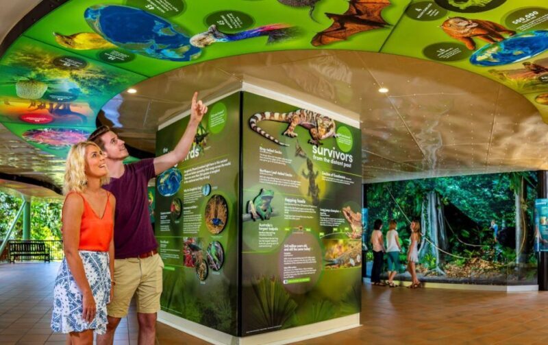 Skyrail Rainforest Cableway Round-Trip Experience - Final Thoughts: Is the Skyrail Rainforest Cableway Worth It?