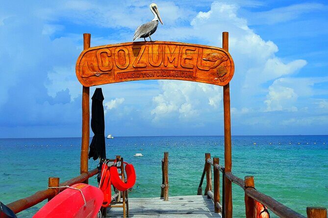 SkyReef Cozumel Snorkel & Tequila Tasting - The Sum Up