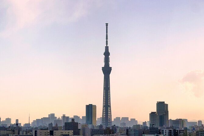 Skytree Ticket - The View and Photo Opportunities