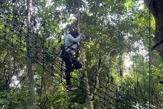 Skytrex Adventure in Langkawi (with transfers) - The Verdict: Who Will Enjoy This the Most?