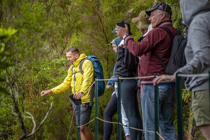 Skywalk 4x4 Experience and Rabacal 25 Fountains Levada Walk - The Value of the Tour