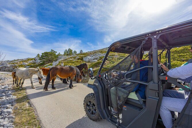Skywalk Biokovo Tour in Buggy's - An In-Depth Look at the Skywalk Biokovo Tour in Buggy’s
