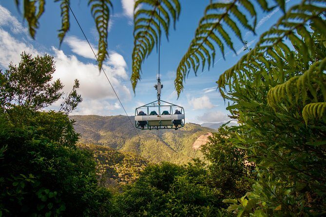 Skywire Adventure at Cable Bay, Nelson - Is It Worth the Price?