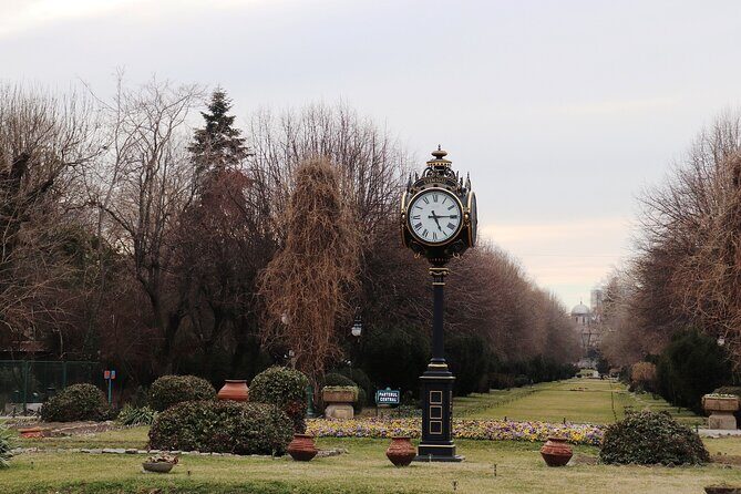 Slavery in Romania Myths and Truths About Gypsies - Authentic Insights from Reviews