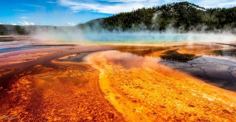 SLC:Grand Teton and Yellowstone National Park Multi-Day Tour - Who Will Benefit Most?