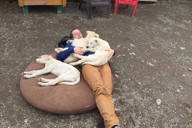 Sled Dog Adventure and Pan for Gold in the Yukon - A Deep Dive into the Experience