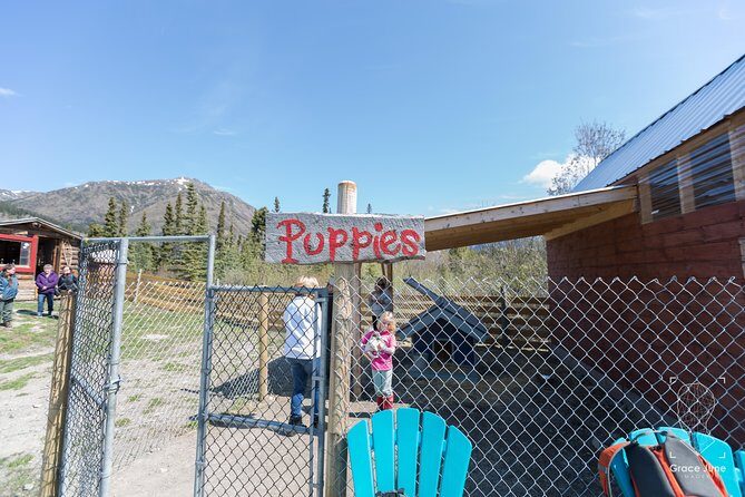Sled Dog Adventure and Pan for Gold in the Yukon - Frequently Asked Questions