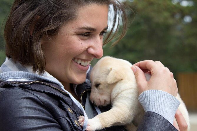 Sled Dog Adventure in Skagway - Pricing and Value
