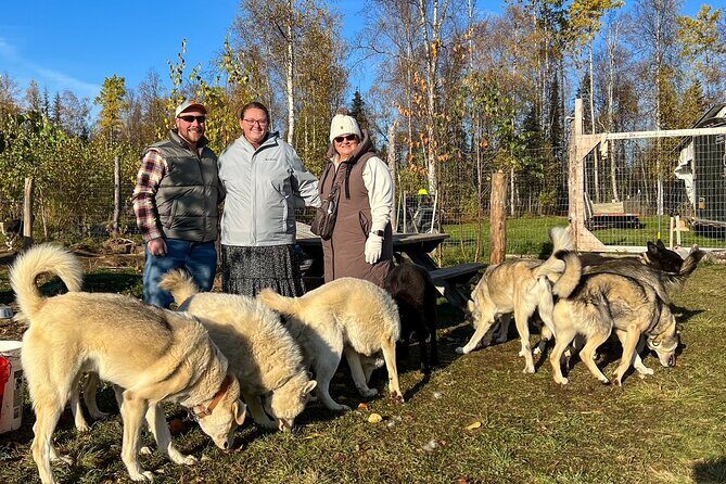 Sled Dog Kennel Tour - The Bottom Line