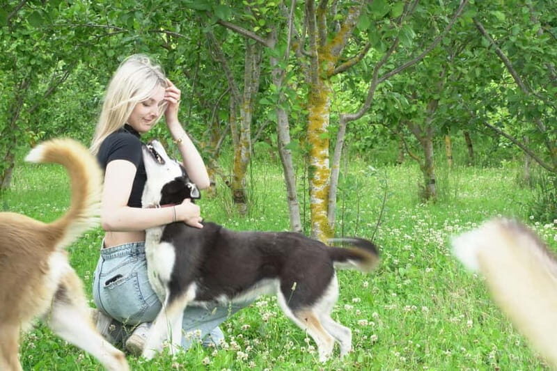 SLED DOGS VISIT & DRIVE ROUND TARTU COUNTRY ESTONIA - What Visitors Say