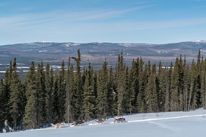 Sledding and Homesteading Adventure - FAQ