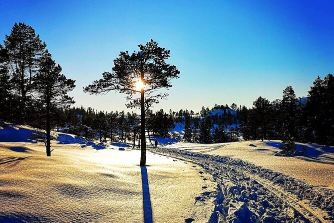 Slegding and tram-tour - A Scenic Journey Through Norway’s Snowy Heartlands