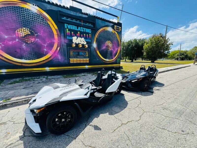 Slingshot Rentals - Fort Laudarale, Hollywood, Sunny Isles - The Experience: A Closer Look