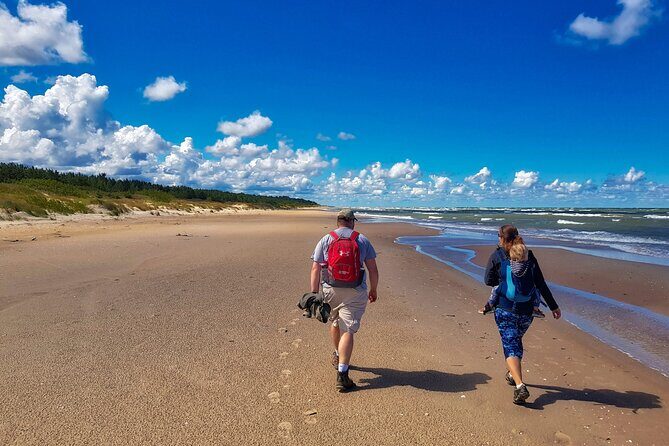 Slitere National Park Latvian Nature Hiking Tour from Riga - The Experience: What to Expect