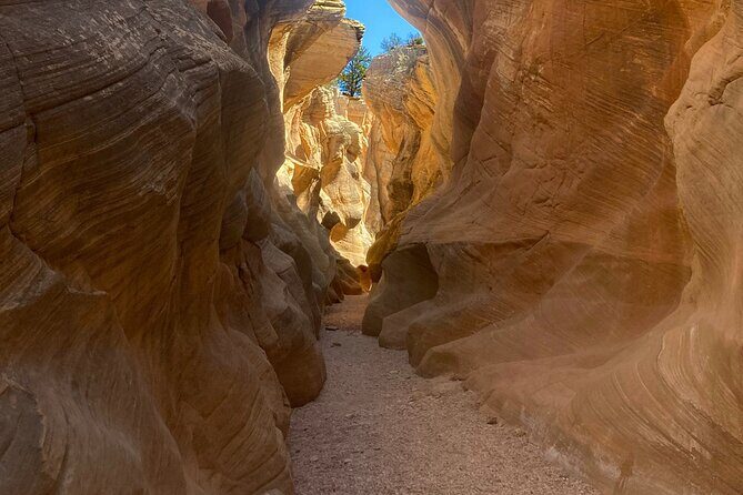 Slot Canyon 2hr tour at Willis Creek - Who Should Consider This Tour?