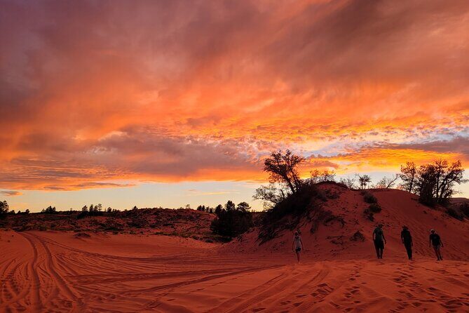 Slot Canyon Tour & Sandboarding UTV Adventure - The Scenic and Adventure Aspects