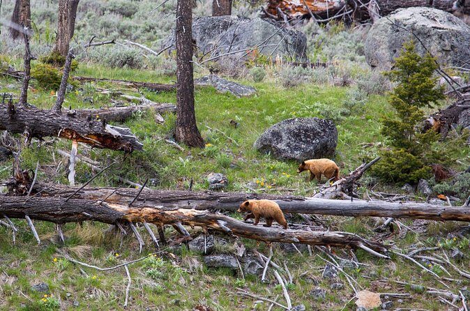 Slough Creek Naturalist Day Hike - Final Thoughts