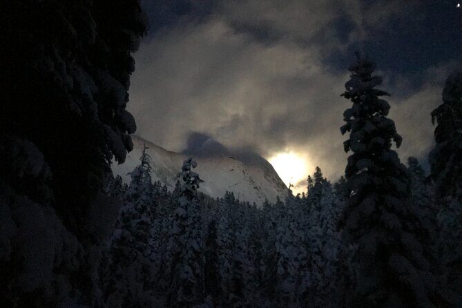Slow down and enjoy winter on a private snowshoe tour. - Practical Considerations and Tips
