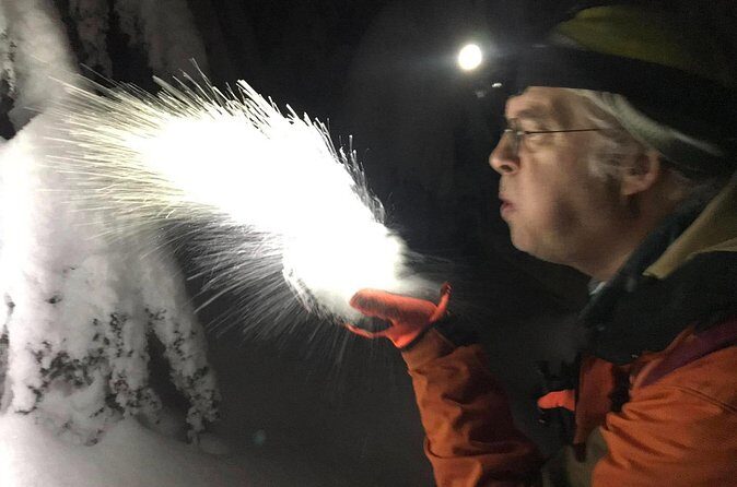 Slow down and enjoy winter on a private snowshoe tour. - Who Will Enjoy This Tour?