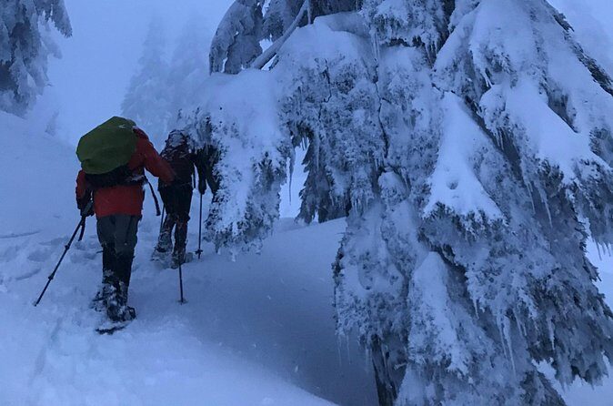 Slow down and enjoy winter on a private snowshoe tour. - The Sum Up: Is It Worth It?