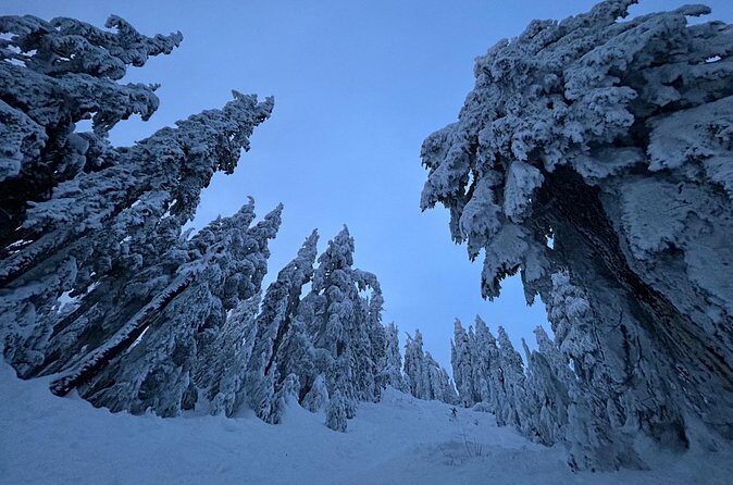 Slow down and enjoy winter on a private snowshoe tour. - FAQ