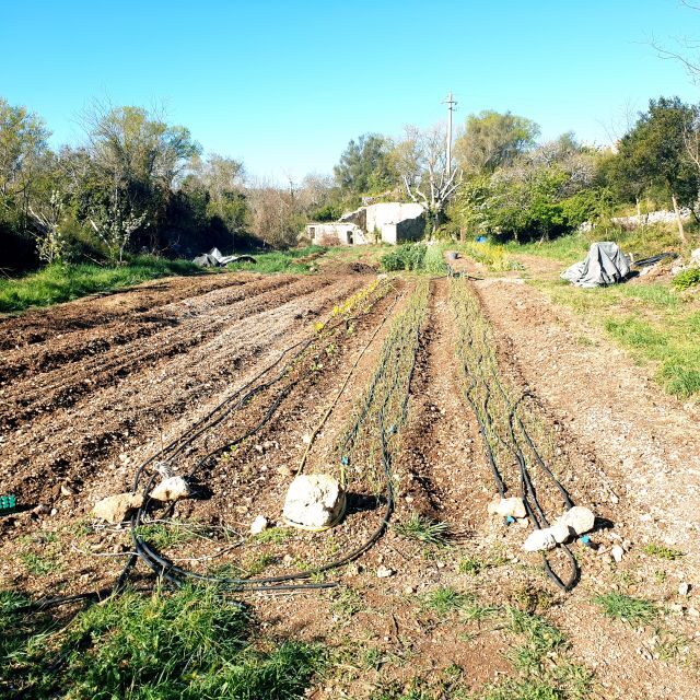 Slowlife Family Farm: From Garden to Table - Practical Details and Value