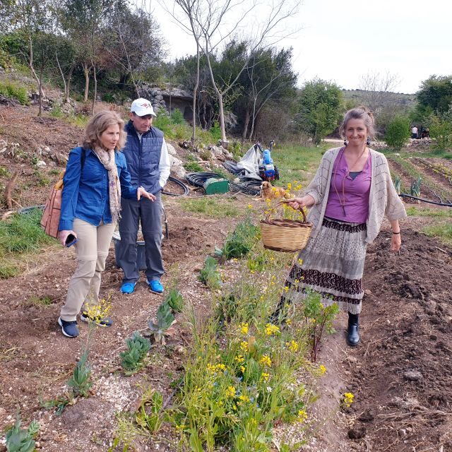 Slowlife Family Farm: From Garden to Table - Who Will Enjoy This Tour?