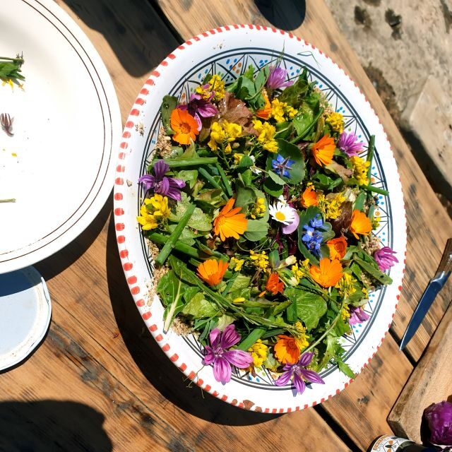 Slowlife Family Farm: From Garden to Table - Final Summary