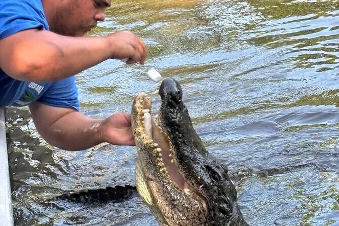 Small Airboat Tour with Transportation Must Do in New Orleans - Final Thoughts: Is This Tour Worth It?