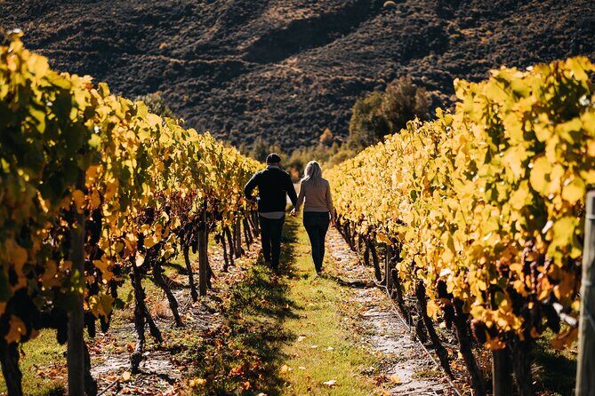 Small Batch Private Wine Experience in Gibbston, Queenstown. - Introduction to the Experience