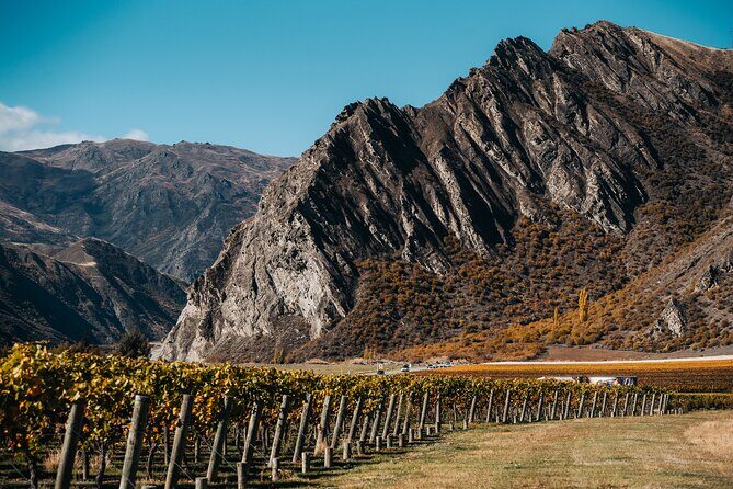 Small Batch Private Wine Experience in Gibbston, Queenstown. - FAQ