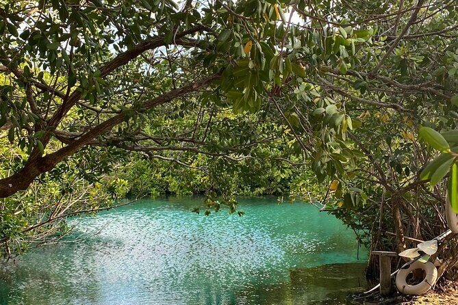 Small-Group 3 Cenotes Adventure Tour - Return & Reflection