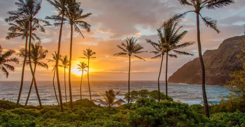 Small Group 3 Hour Honolulu Sunrise Tour with Malasadas - Value and Pricing: Is It Worth It?