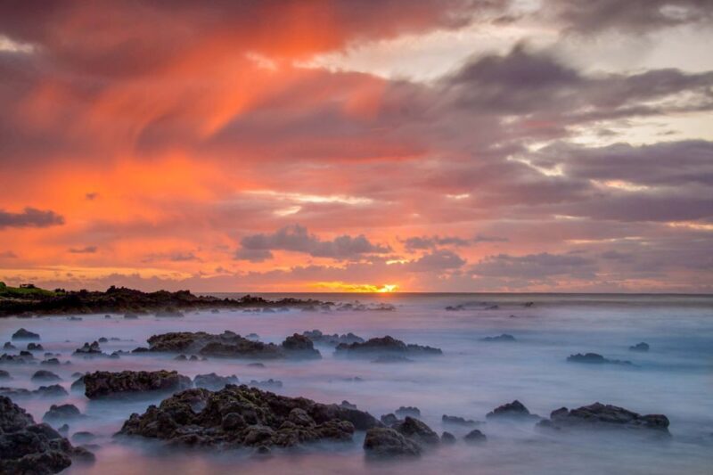 Small Group 3 Hour Honolulu Sunrise Tour with Malasadas - Who Will Love This Tour?
