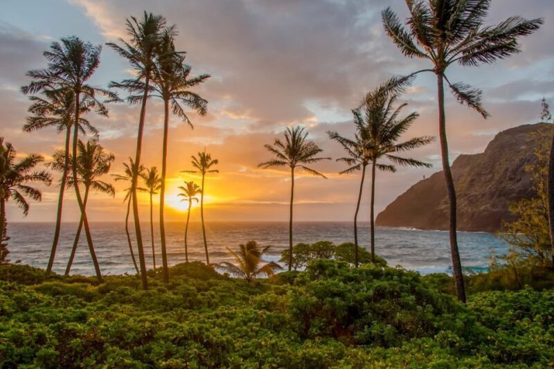Small Group 3 Hour Honolulu Sunrise Tour with Malasadas - Setting the Scene: What to Expect from the Tour