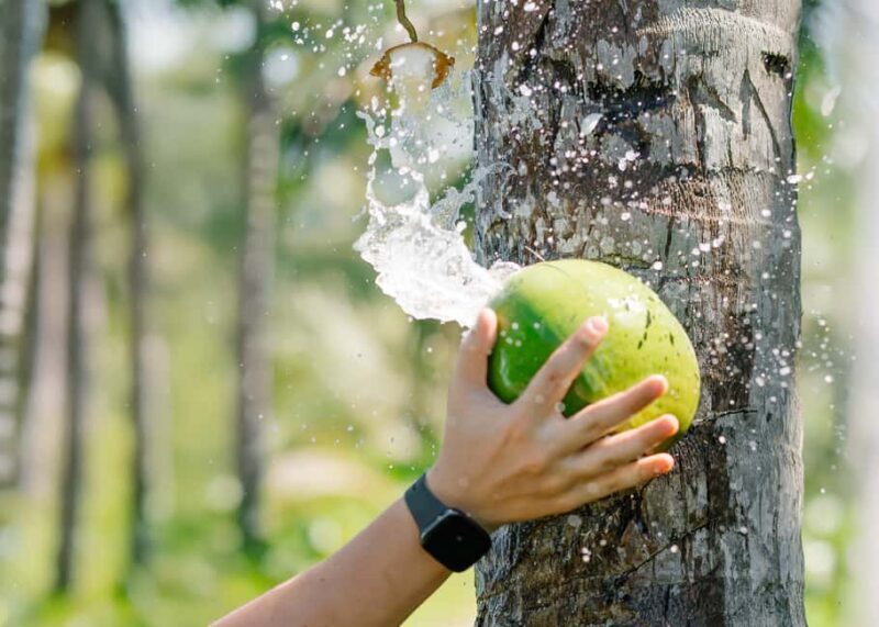 Small Group 4x4 ATV Punta Cana: Jungle & Wild Beaches - In-Depth Look at the Itinerary