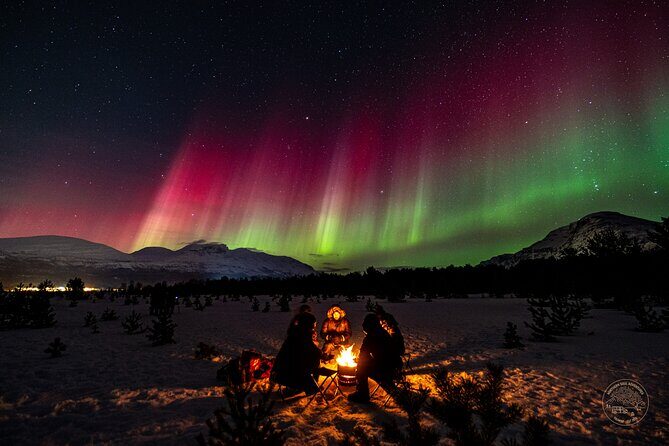 Small Group 4x4 Van Journey in Search of the Northern Lights - Key Points