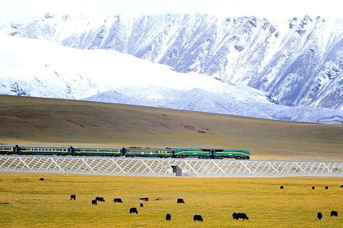Small-Group 6-Night Lhasa to Everest Tour: Train from Xining - The Journey to Tibet: What to Expect