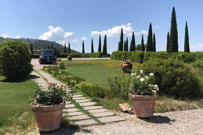 Small group (7) Chianti-side wine tour with Mercedes V class Van - An In-Depth Look at the Tour Experience