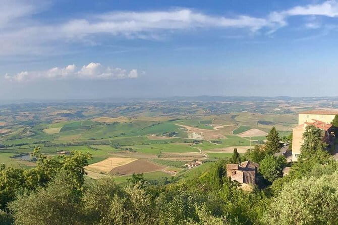 Small group (7) Chianti-side wine tour with Mercedes V class Van - Who Will Love This Tour?