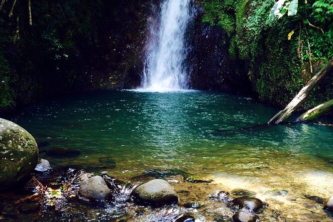 Small-Group Adventure Trek in Grand Etang National Park - The Sum Up