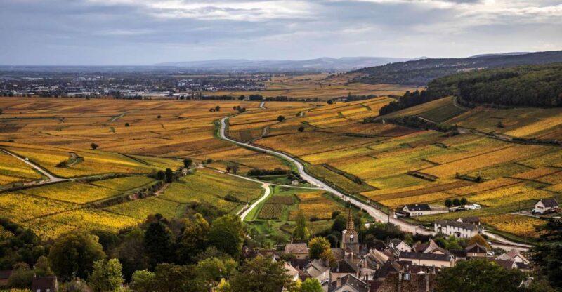 Small group Afternoon in Côte de Nuits - Key Points