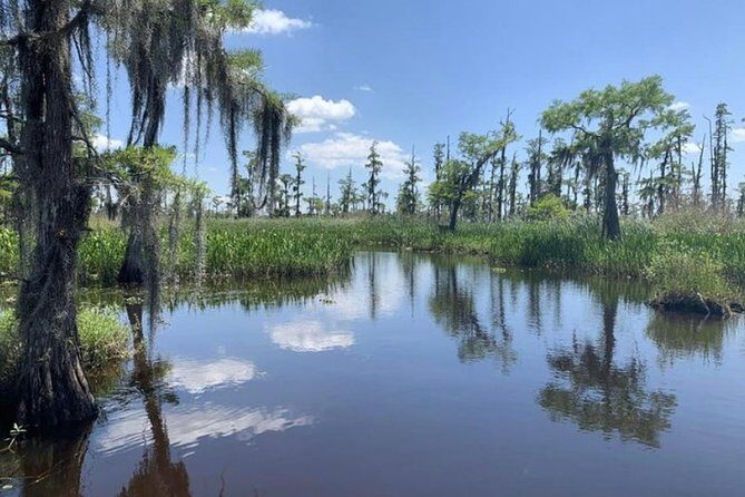 Small-Group Airboat Swamp Tour with Downtown New Orleans Pickup - What to Expect on This Swamp Adventure