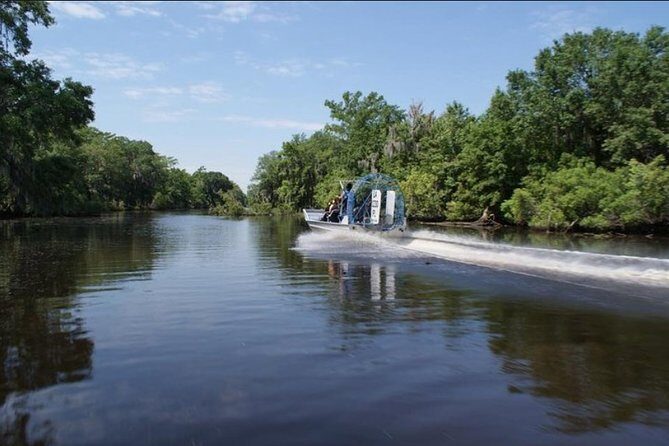 Small-Group Airboat Swamp Tour with Downtown New Orleans Pickup - Practical Details and Tips