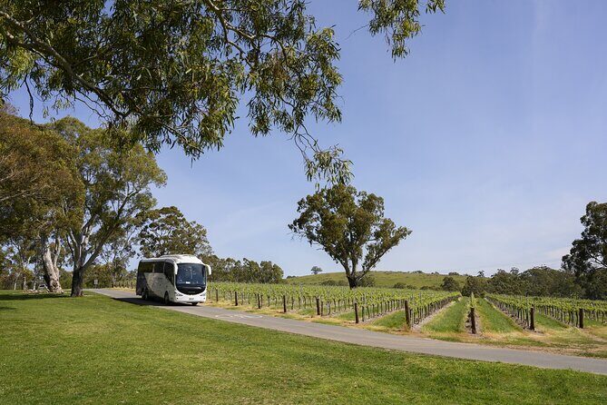 Small Group All Inclusive Barossa Valley Food and Wine Tour - Key Points