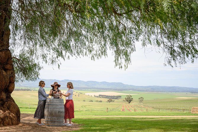 Small Group All Inclusive Barossa Valley Food and Wine Tour - The First Stop: Pindarie Winery