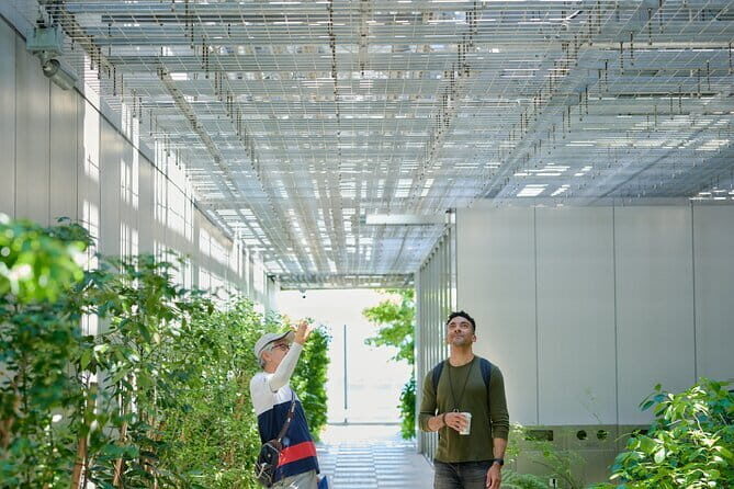 Small-Group Architecture Tour in Ginza, Tokyo - Exploring Tokyos Architectural Heart: A Review of the Small-Group Ginza Tour